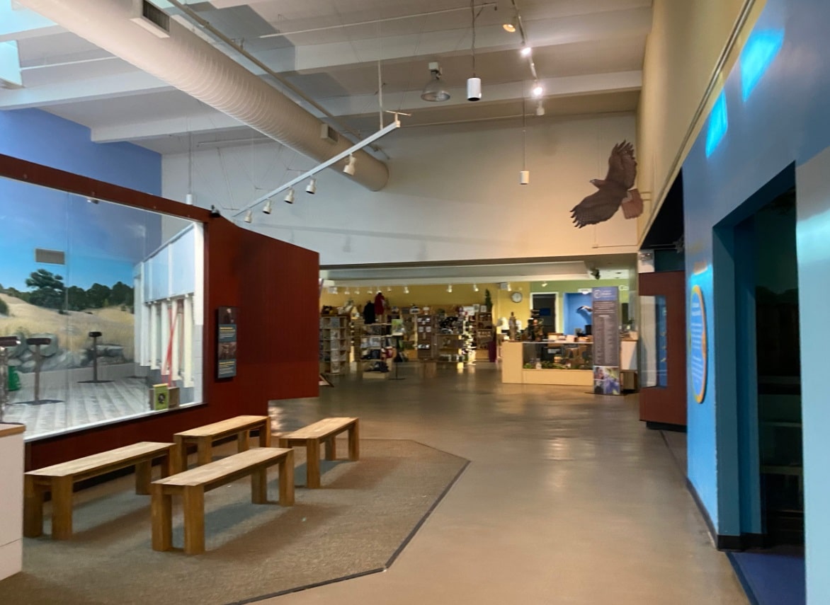 Exploring the Amazing Animals and Educational Programs of the Lindsay ...