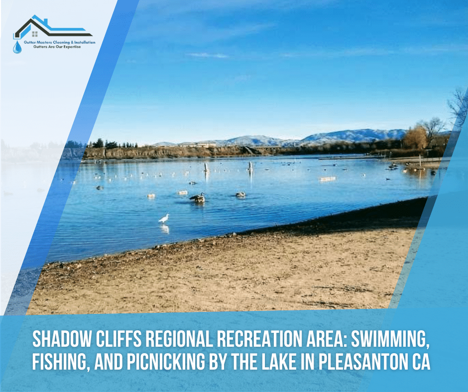 Swimming, fishing, and lakeside picnicking are available at Shadow ...